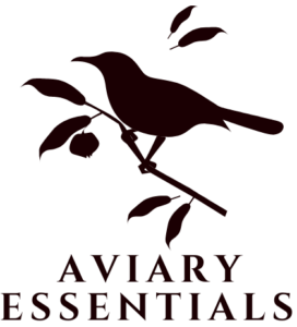 Are Robins Aggressive To Humans? - Aviary Essentials